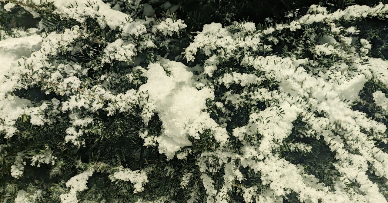 TypeScript 入門の記録（35）プロを目指す人のためのTypeScript入門（20）（続）オブジェクトとは｜jnkykn