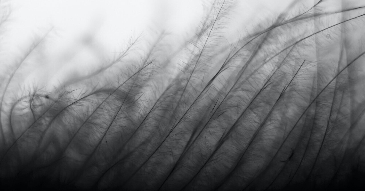 無音 【詩】｜broad_bean｜note