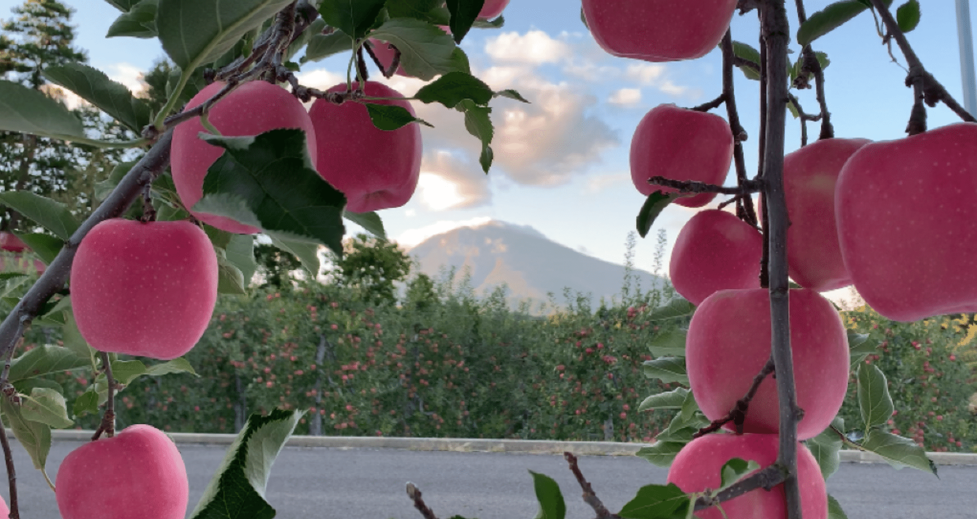 Hosaka Motoki｜note