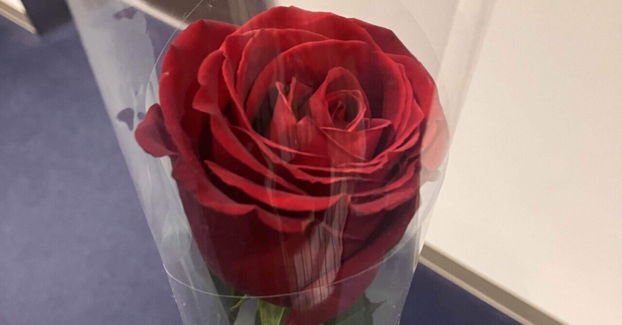 この前バラを貰った🌹｜Kumiko｜note