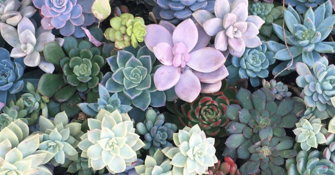 ふりかえりのふりかえり #20｜unico｜note