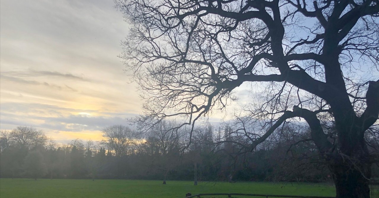 Satoko Matsuura｜note