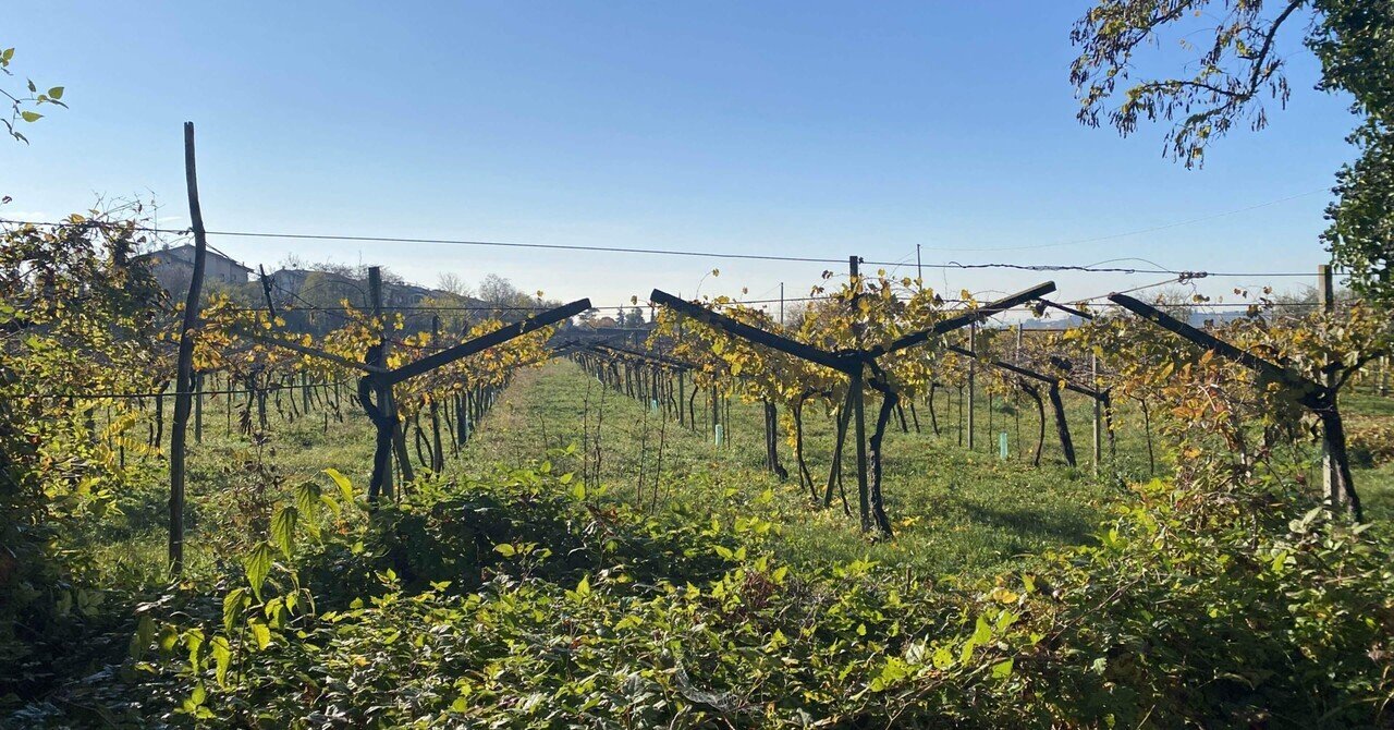 イタリア滞在62日目｜城 拓 / Hiroshi Jo