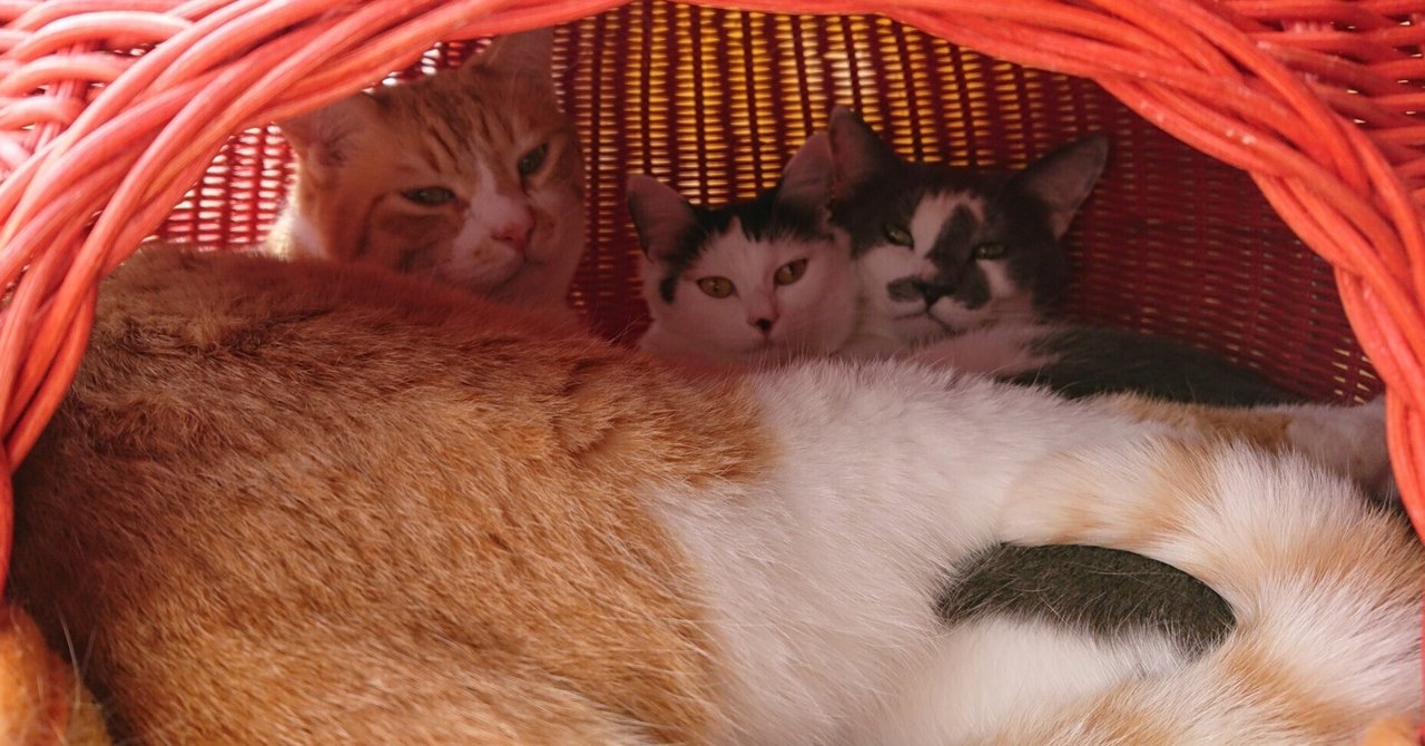 奇跡講座162 私は、神が創造したままの私である｜(Linp&Ruru)本当の自分を知り、本当の自分として生きる｜note