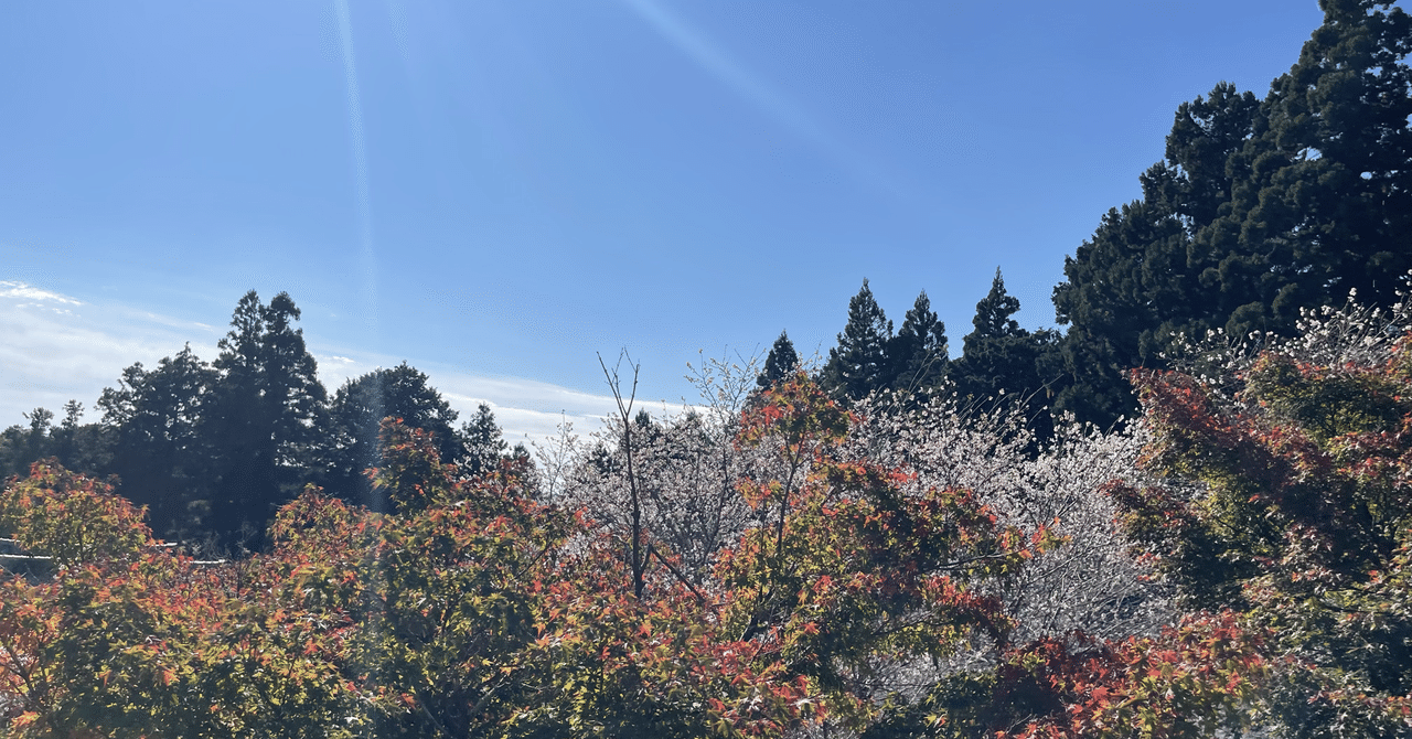 ☆12/12 芦屋8R 12:08☆｜みるく