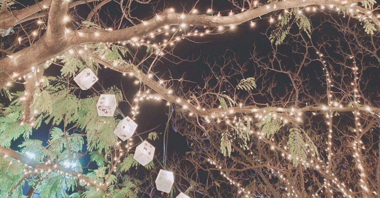 推しのコンサートレポ☁️｜ephy