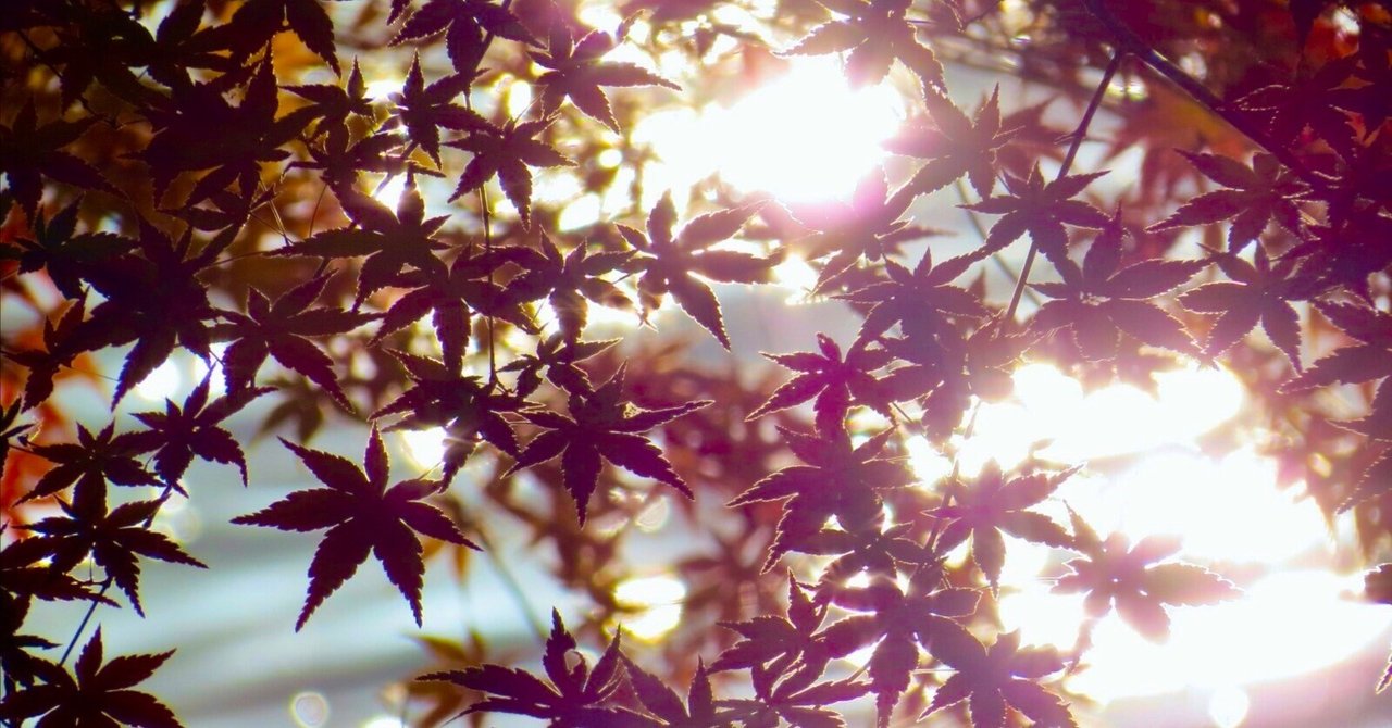 戒から愛へ｜KAZE｜note