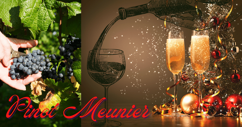 ピノ・ムニエ（ムニエ）｜AlcotradeTrust