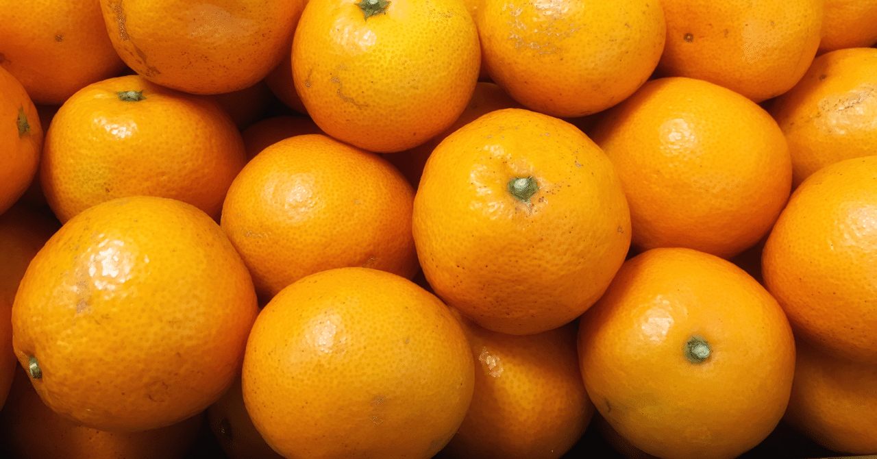 12/12（月）自分の内側を見続ける｜流生