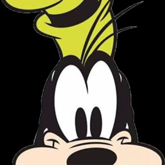 goofy｜note