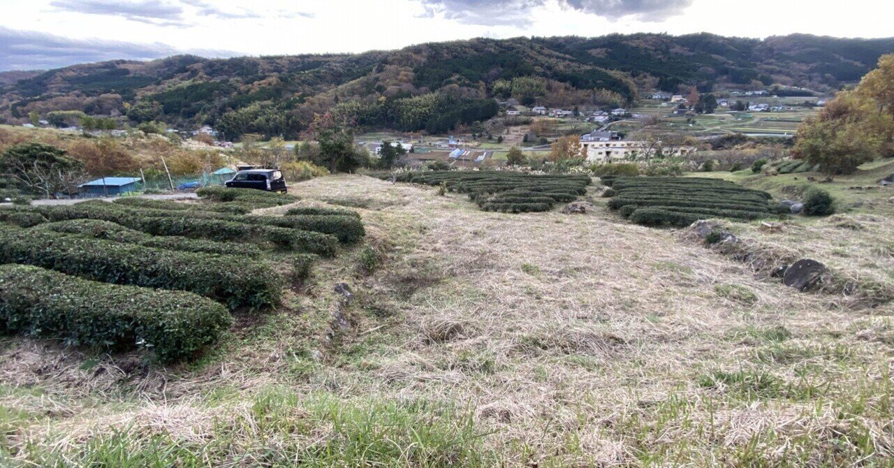 おきゃくさま｜Tact Masuda