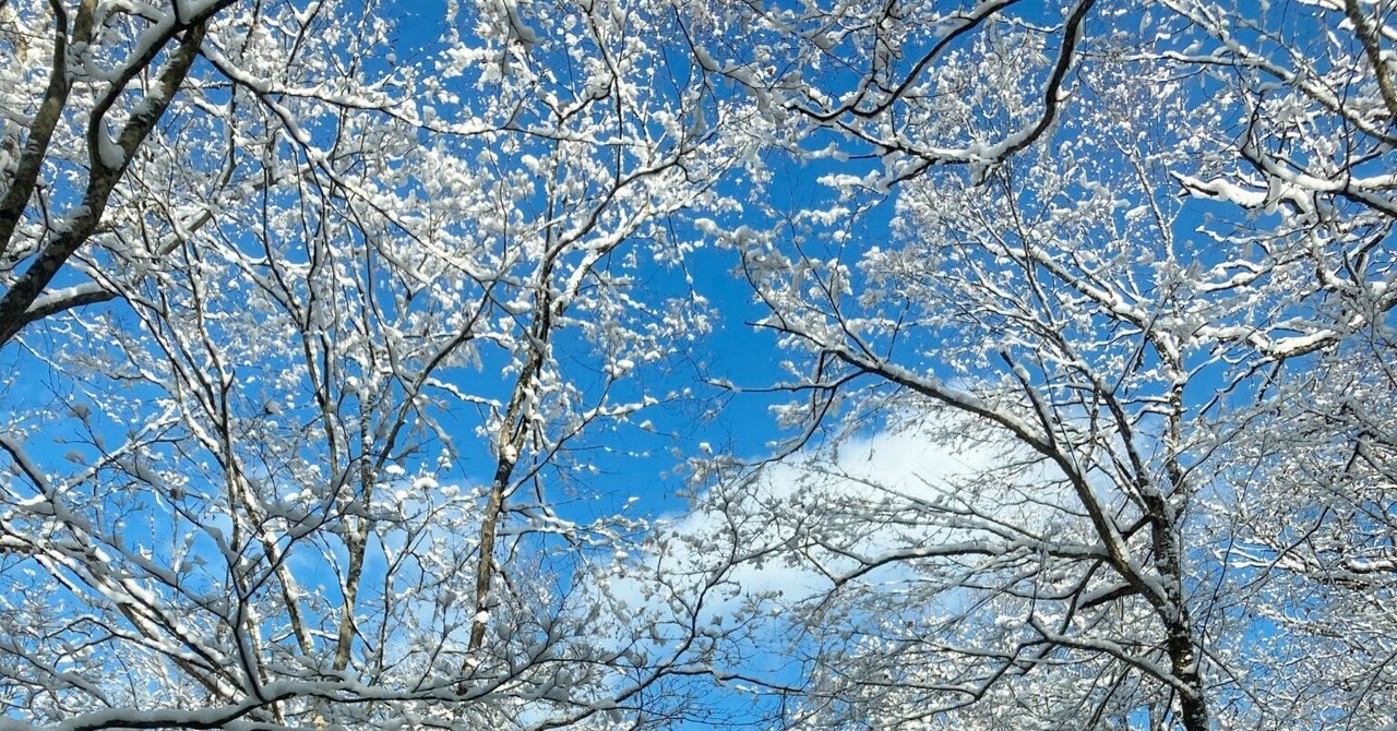 大切にしたいことを書き残すnote｜Eri Kawai Kobayashi｜note