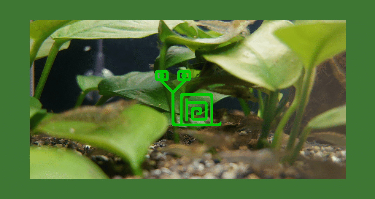 Yone_Dell＠ヨネデル｜note