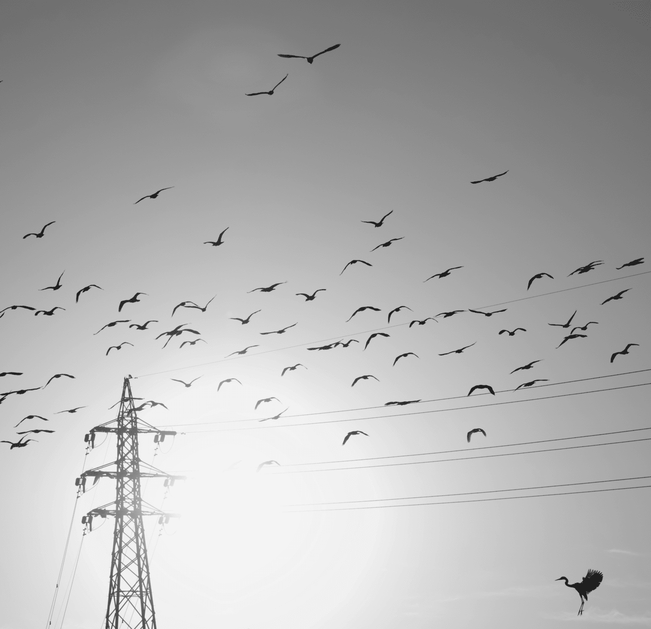 むこう｜Yutaka Kano｜note