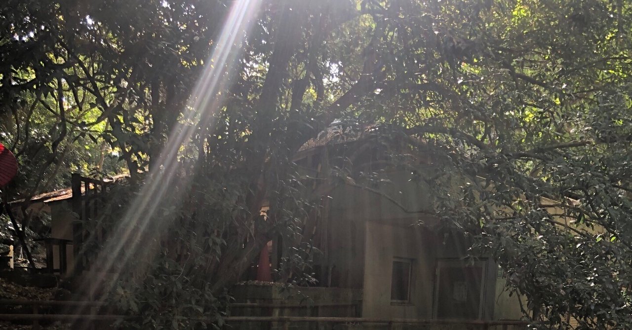 短編小説「年に1回の永遠の命」｜chiechie