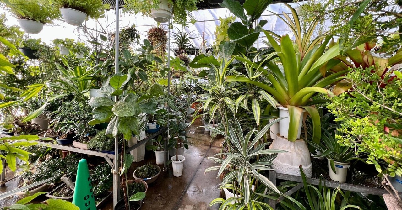 【音声付きnote】173.都内屈指の秘境 山手苑に行ってきた【後編】｜Voicy ワタナベ