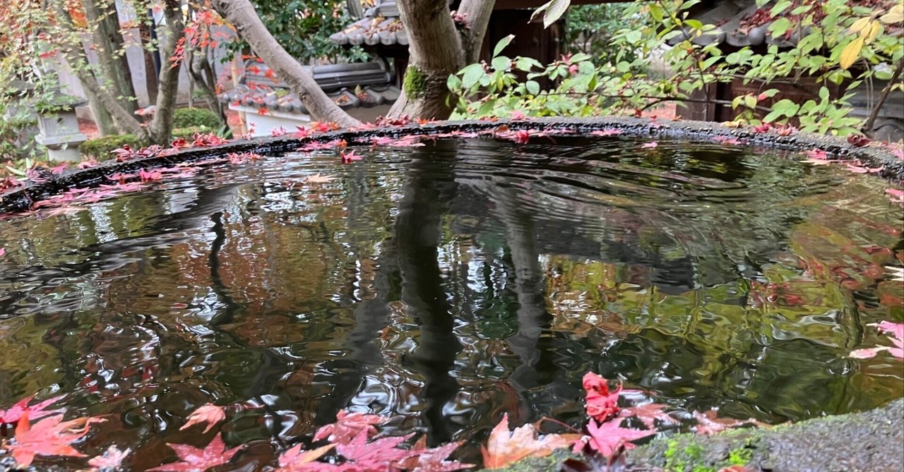 #22-348 そらに笑う。｜aico_arimitsu｜note