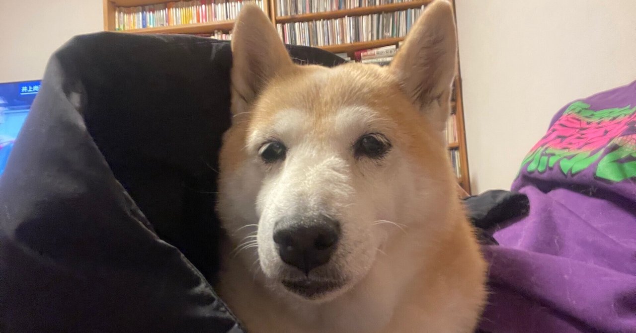 TC療法 6クール目 ＋5日目｜Kana_days