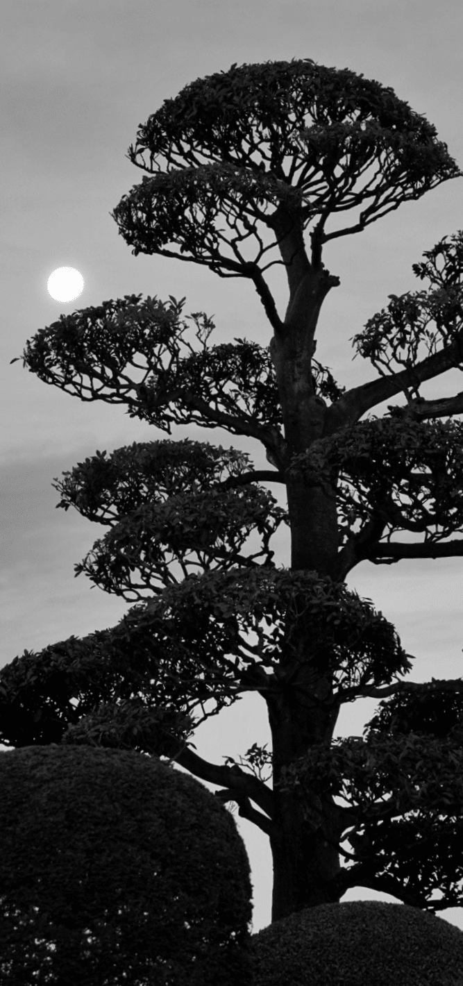 冬満月｜Yutaka Kano｜note