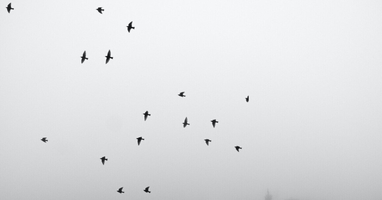 #1015 毎日noteの続け方｜村守隆史