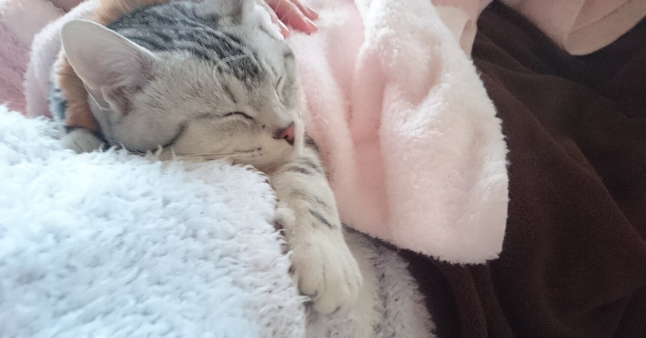 奇跡講座WB実践165 私の心が、神の想念を拒否しませんように｜(Linp&Ruru)本当の自分を知り、本当の自分として生きる｜note