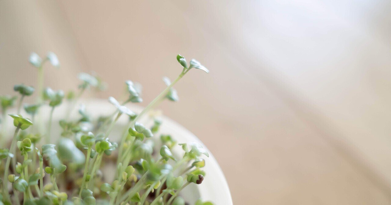 休憩する勇気について｜junko・studio tail