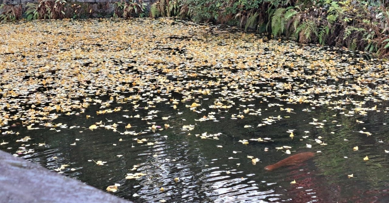 くずれて なる｜kitoma