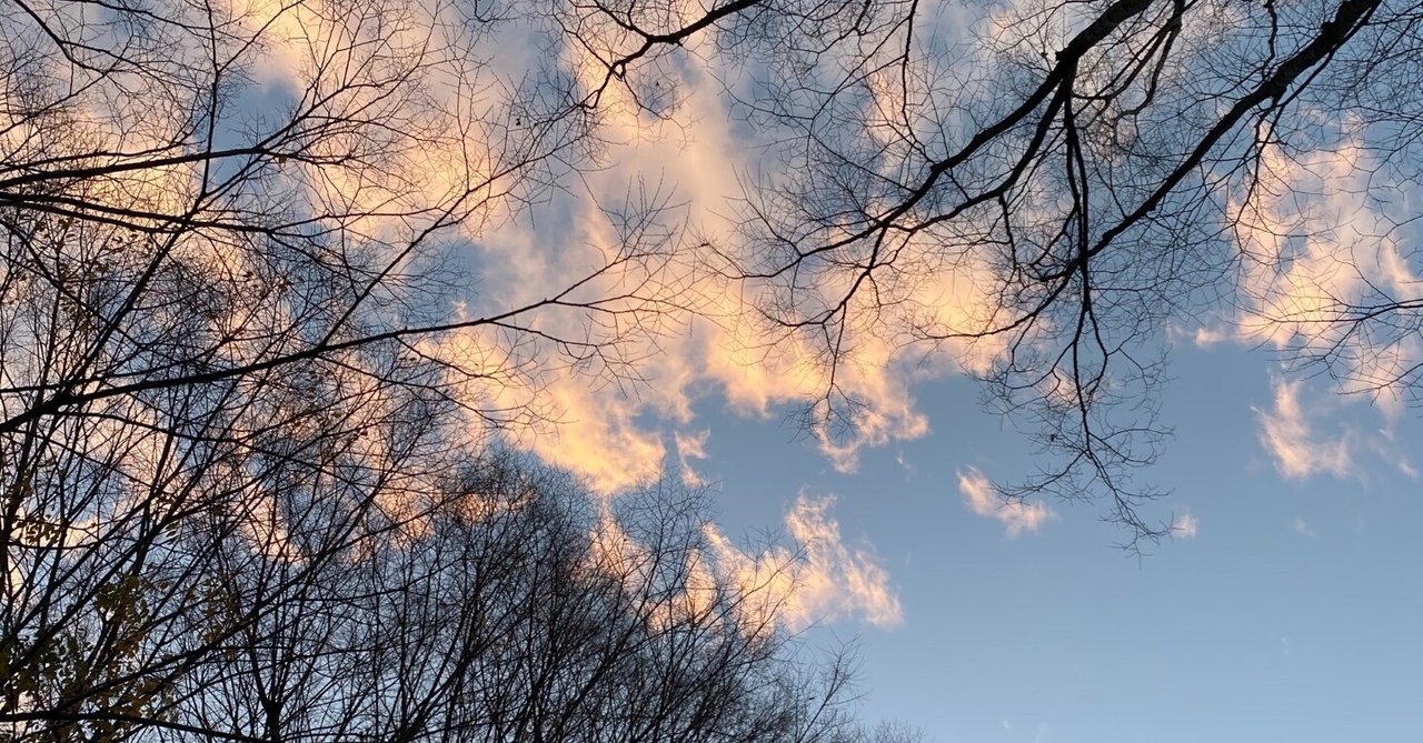 「どうありたいか」と「どうなりたいか」｜sawa