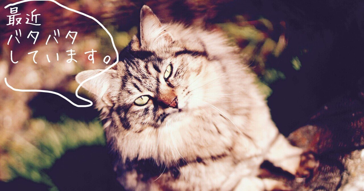 最近バタバタしています。｜建築士のあたまの中～sawa-architect｜note