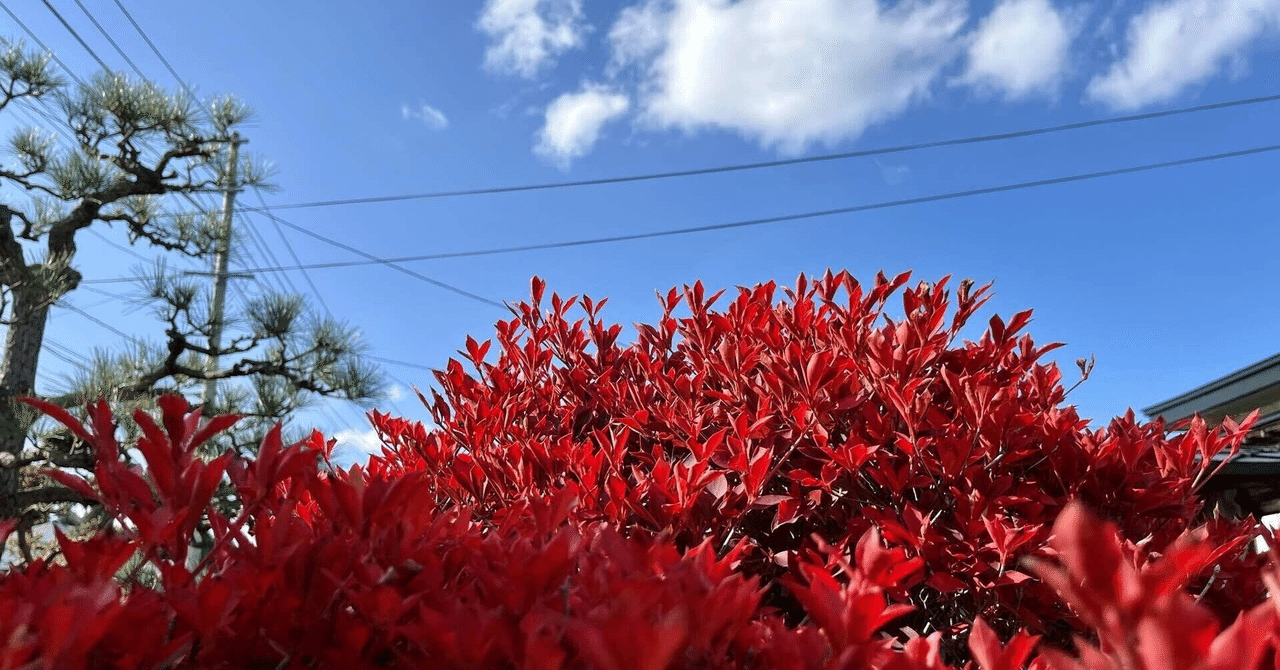 ubuntu{22-10} genome box pop os Linux install｜blue06_2022