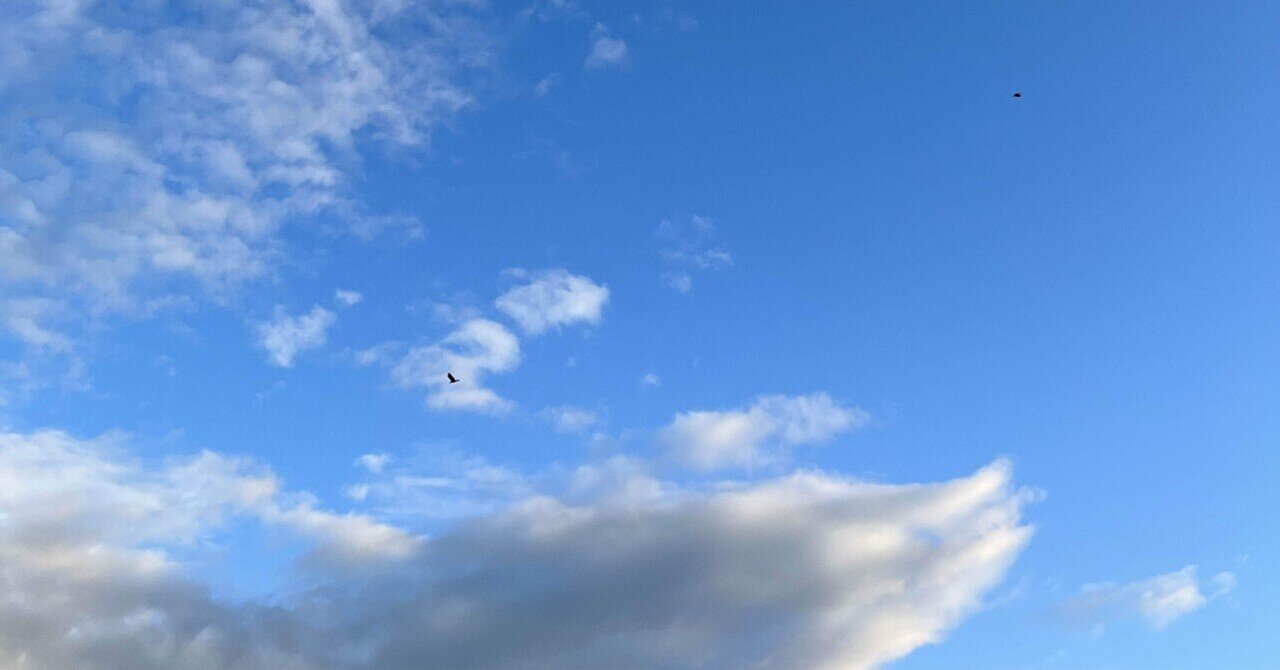 考えても仕方ない！どうにかなる！｜misuzu｜note