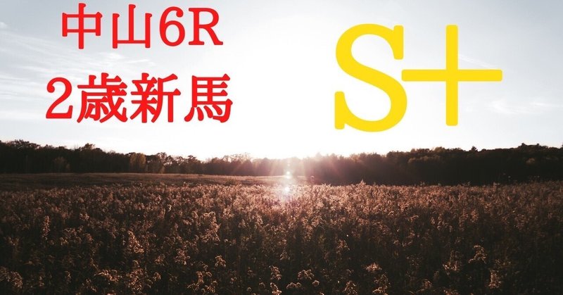 12/17 中山6R 2歳新馬【S＋】本命＋見解付※再販売｜ビクトリーマン｜note
