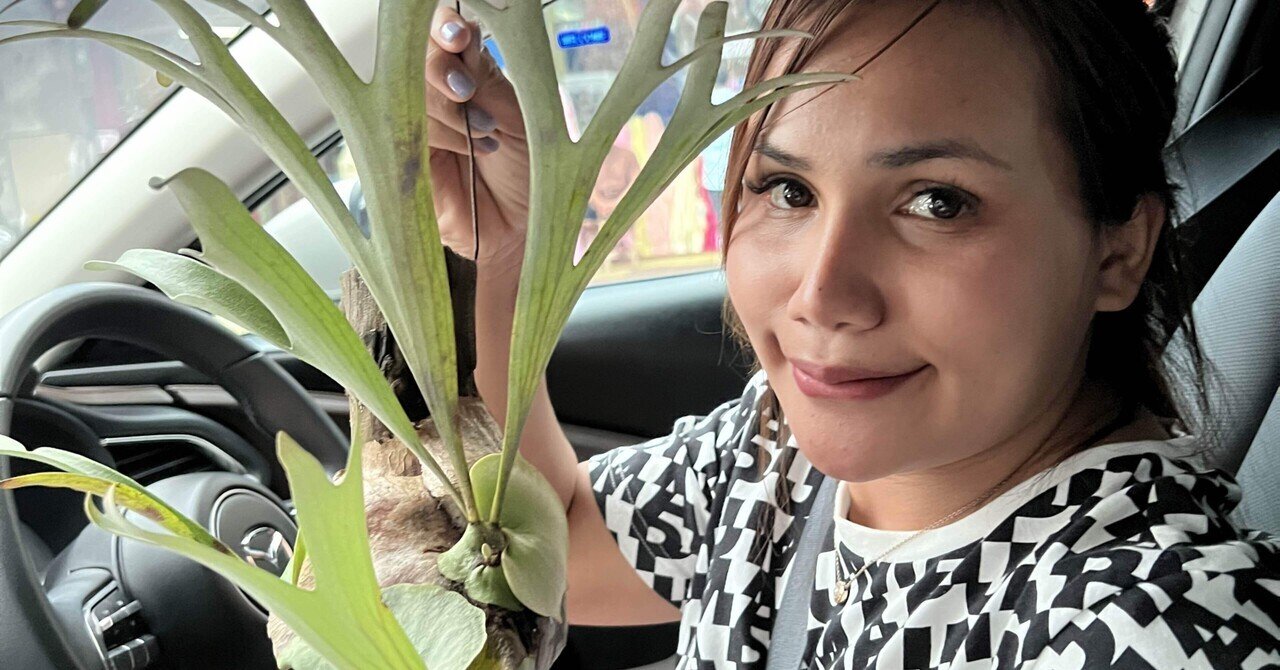 妻覚醒｜SAMURAI FARM｜note