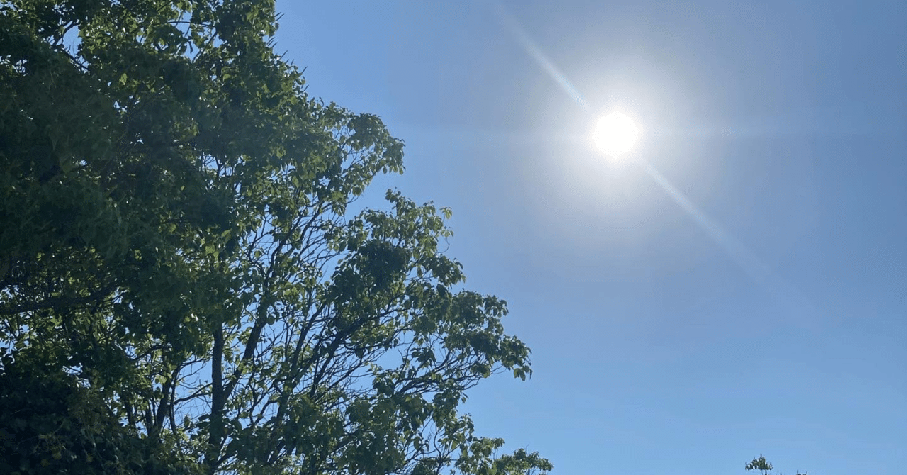 コンプライアンス｜Yukiko-Leaf｜note