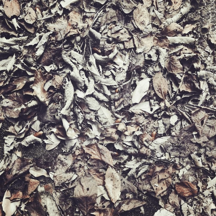 コンプライアンス｜Yukiko-Leaf｜note