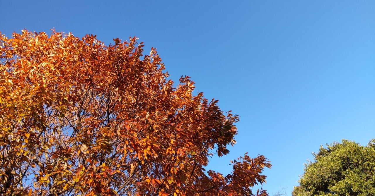 動物占い②公開について｜yumi.ko