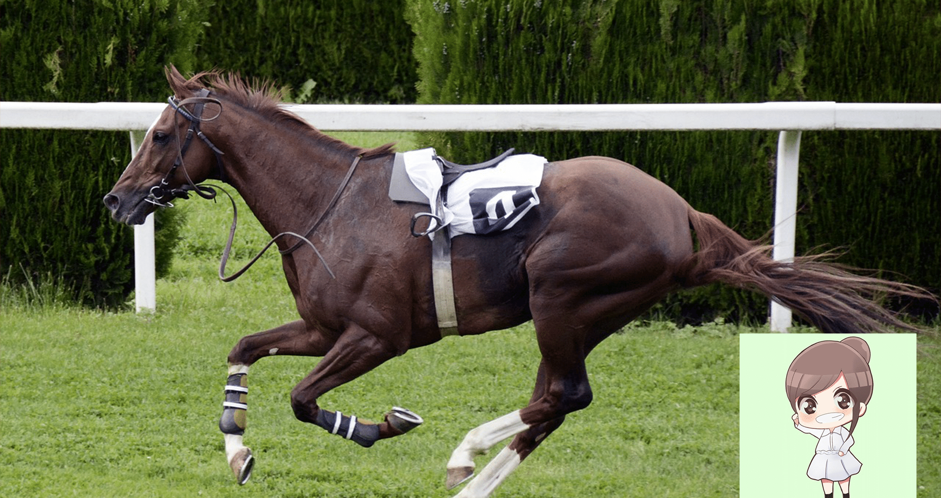 競馬女子大生KOHA(琥珀)｜note
