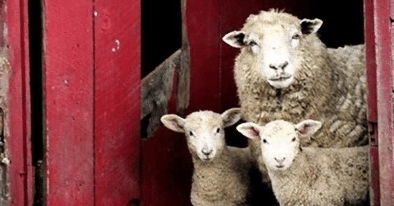 おはようモーニングプレート｜mieのkitchen｜note