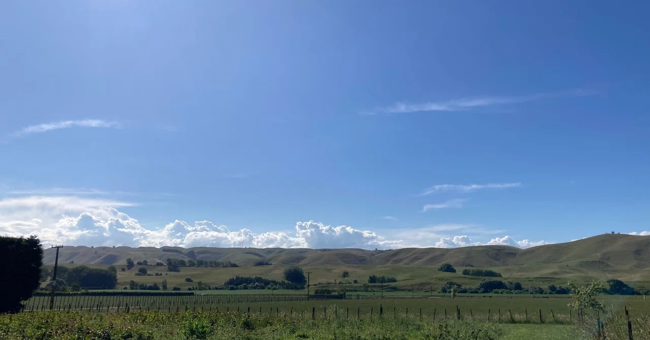 初めてのWWOOF in NZ 9日目｜Mebae