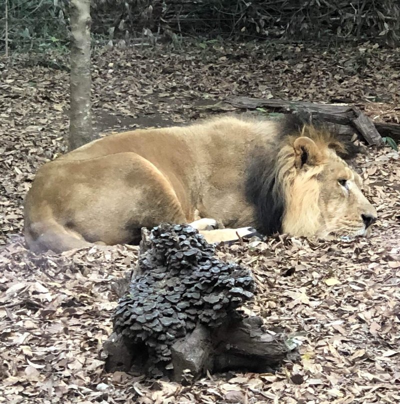 佐野毅_さのたけし_Takeshi_SANO｜note