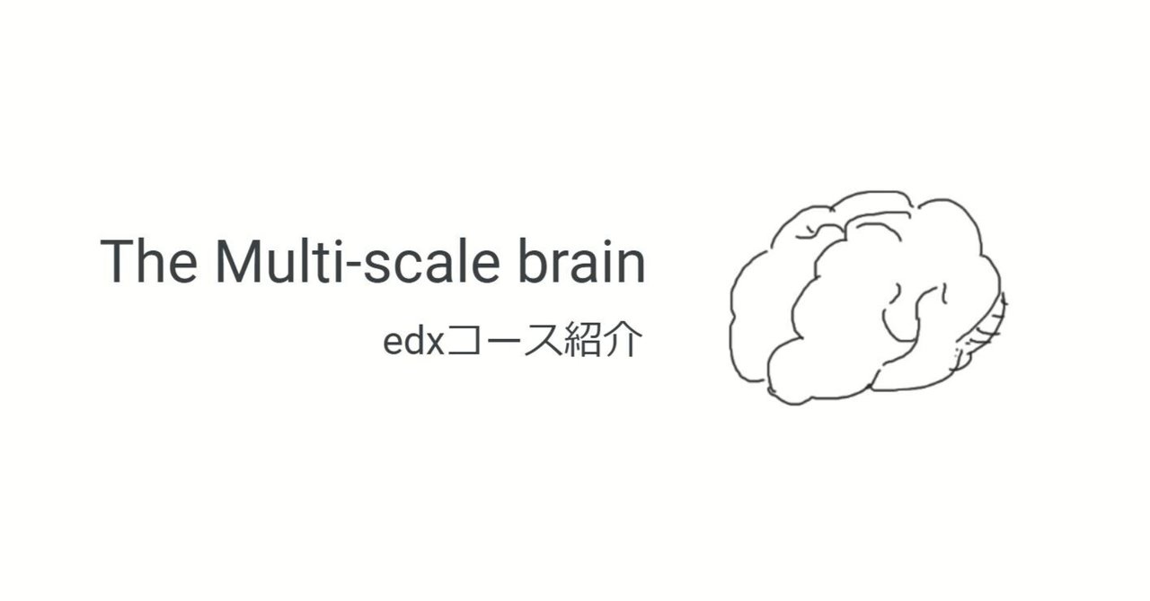 The Multi-scale brain | edxコース紹介｜Ageshio-no-Gomi (あげしおのごみ)