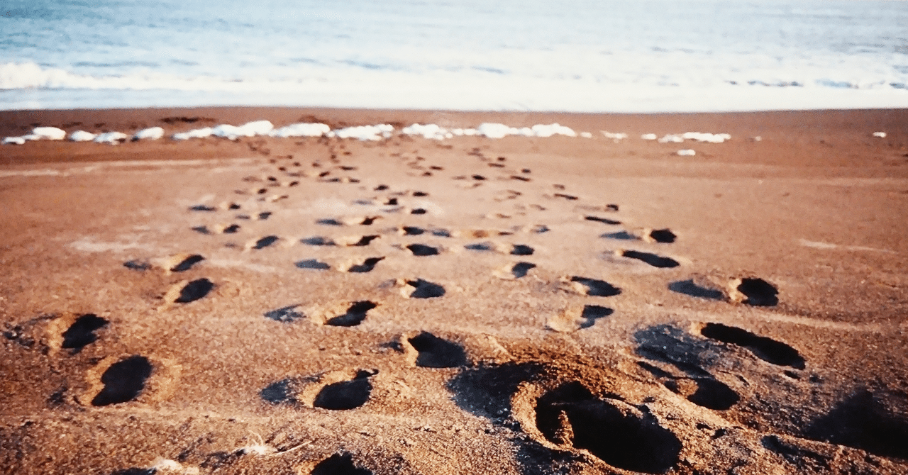 Power Automateと私のこの1年の色々｜nanamoji