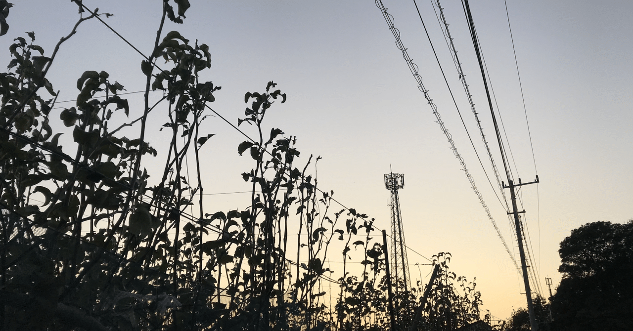 不規則な生活の中で継続する方法｜K.Goto@探偵｜note