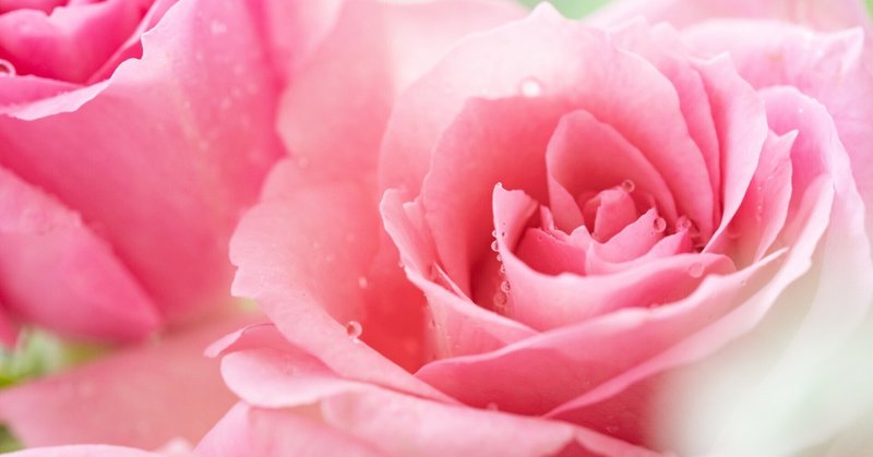 Sunao♡LOVE＆〝感じる〟女性性マーケティング♡｜note