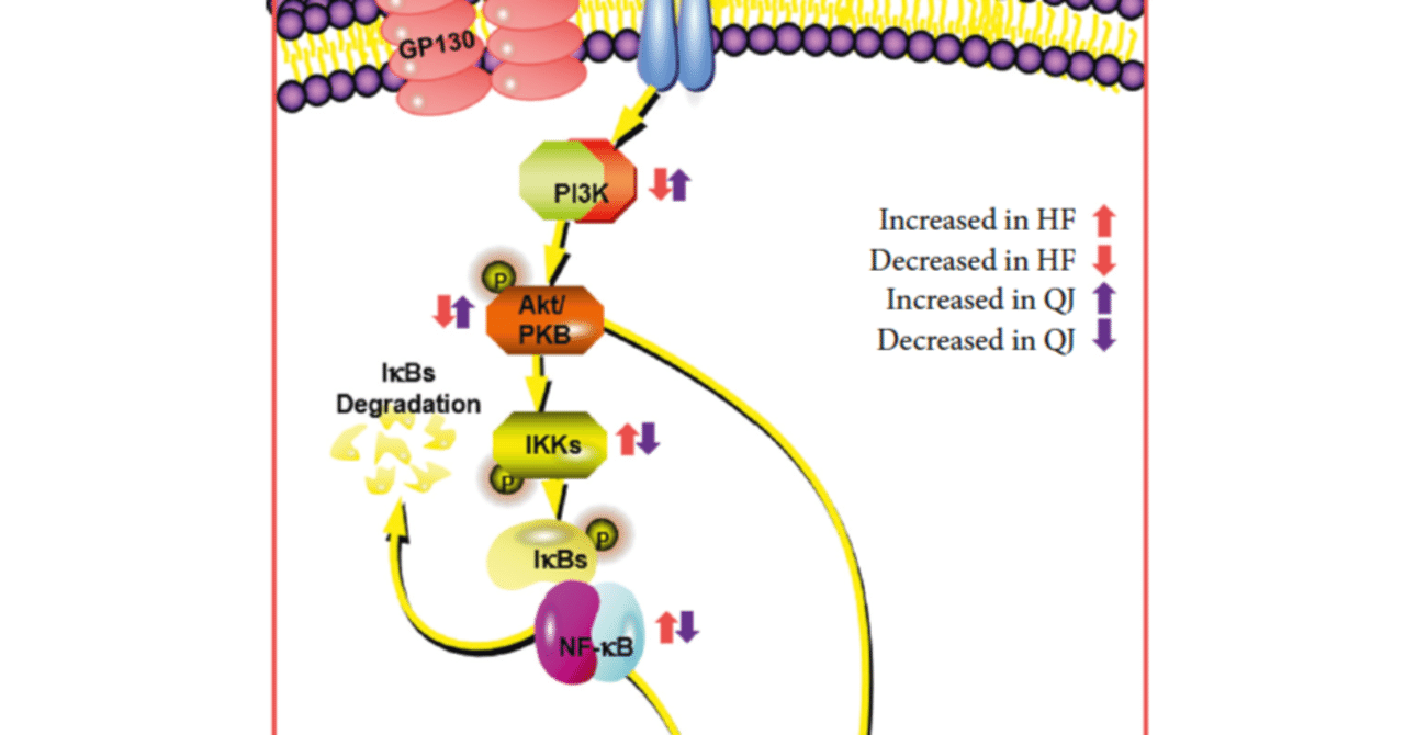 書記が論文読むだけ#1055-Mechanistic Insights of Qingre Jiedu Recipe Based on Network Pharmacology ...