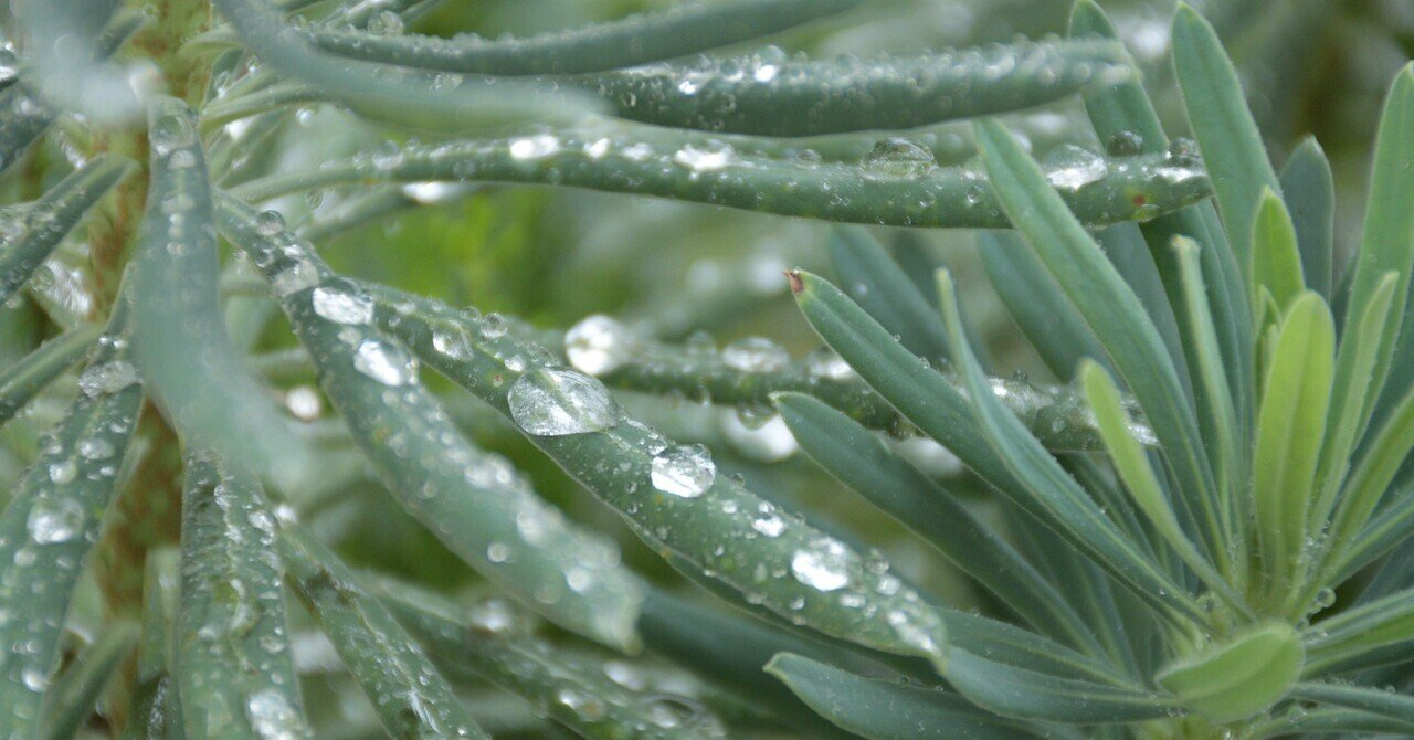 【即興詩】2022/12/19「determination 」｜モリタクロウ｜singer-songwriter