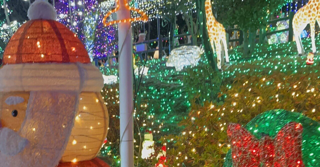 ひかるもの｜zono｜note