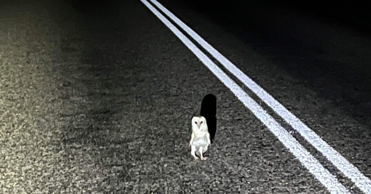 2ndシーズン18日目｜hiro