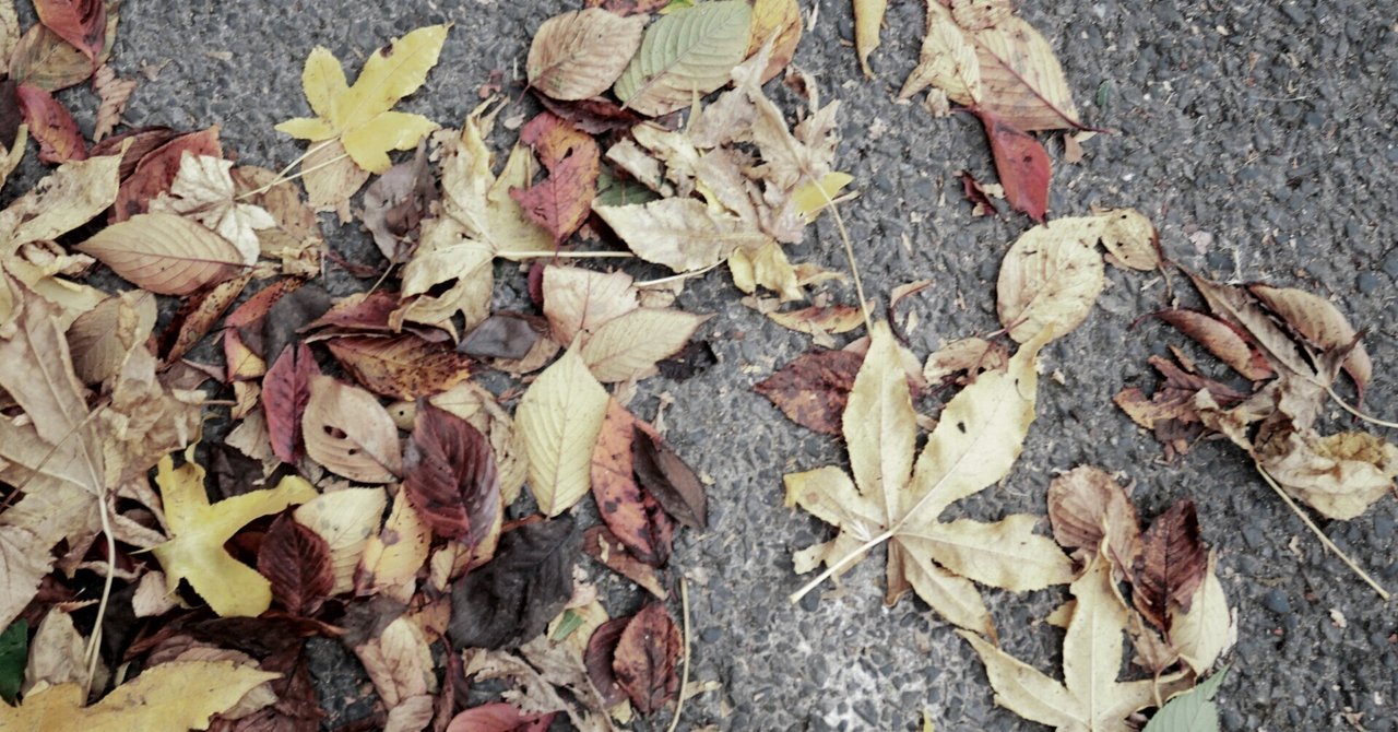 2022年11月の振り返り｜We are Buddies