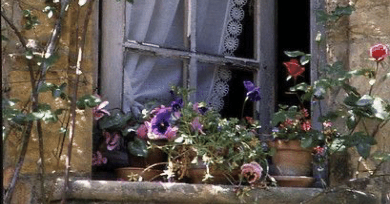 魚介のおつまみ｜mieのkitchen｜note